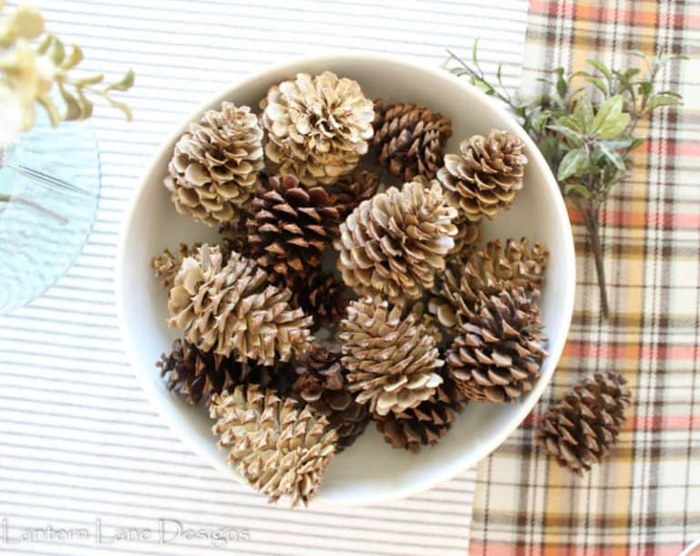 DIY Bleached Pinecones