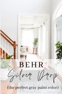 Behr Silver Drop-The Prettiest Paint Color