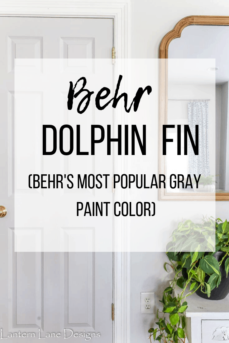 Behr Dolphin Fin~A Warm Gray